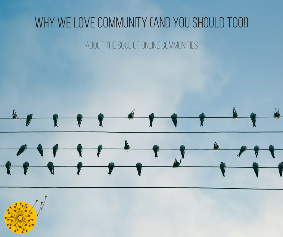 Why We Love Community (And You Should Too!) - Age of Peers